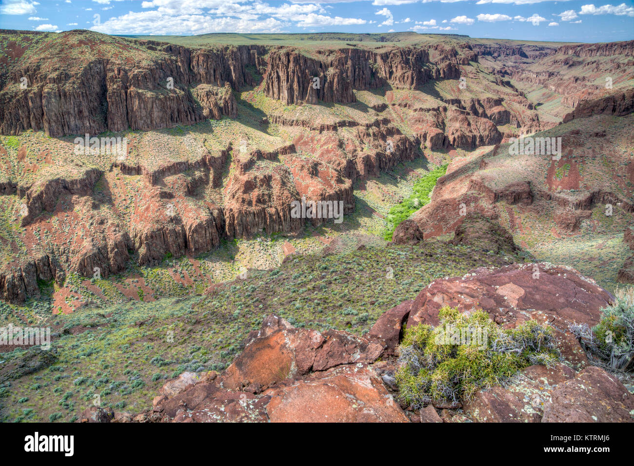 The Jacks Creek Wild and Scenic River winds through rock canyons at the ...