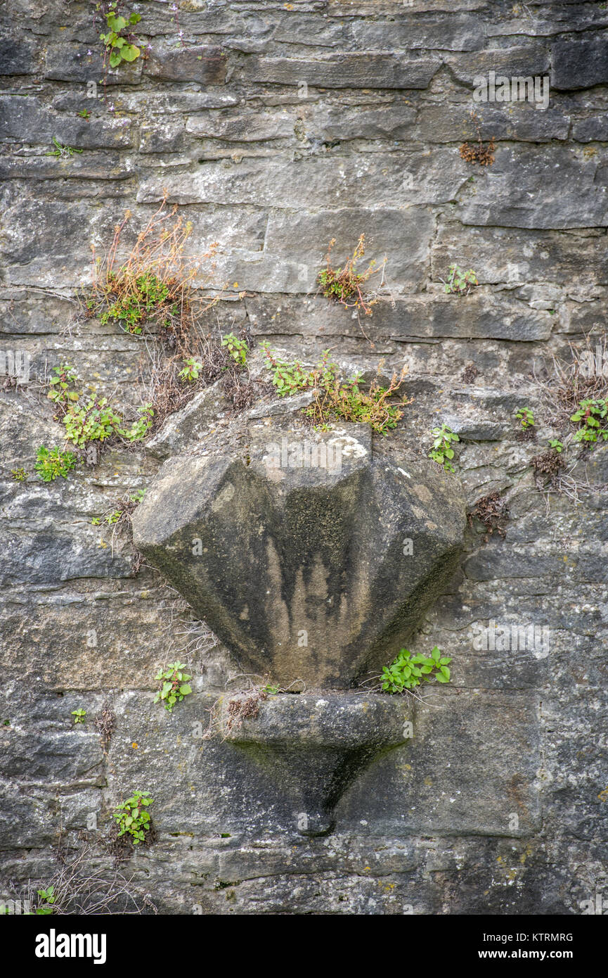 Old Stone fixture being reclaimed by plants at Middleham Castle ...