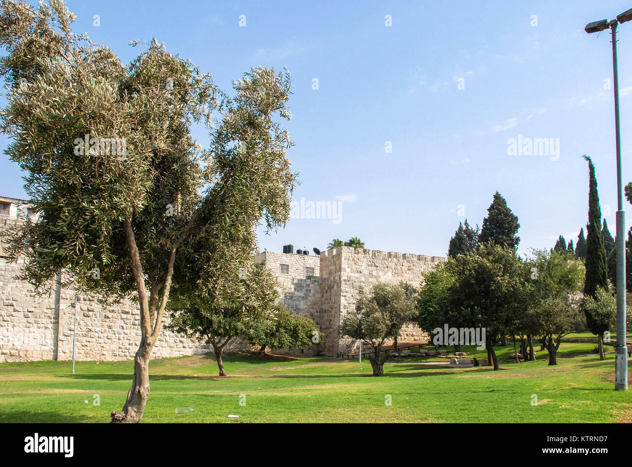 Horizontal picture of the garden with trees outside the wall of the Old ...