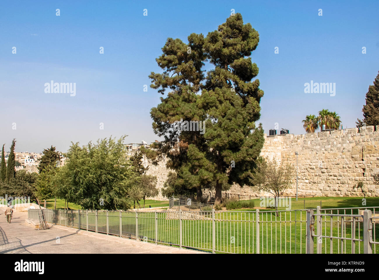 Wide angle picture of sidewalk and the garden with trees outside the ...