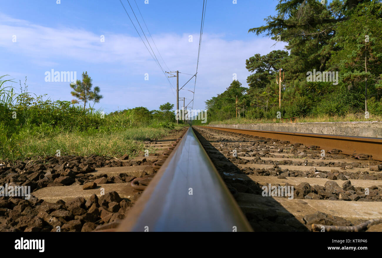 Rail track between trees hi-res stock photography and images - Alamy