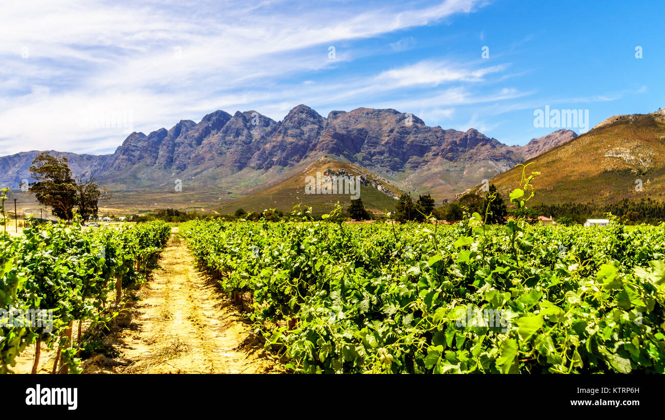Langeberg mountain range hi-res stock photography and images - Alamy