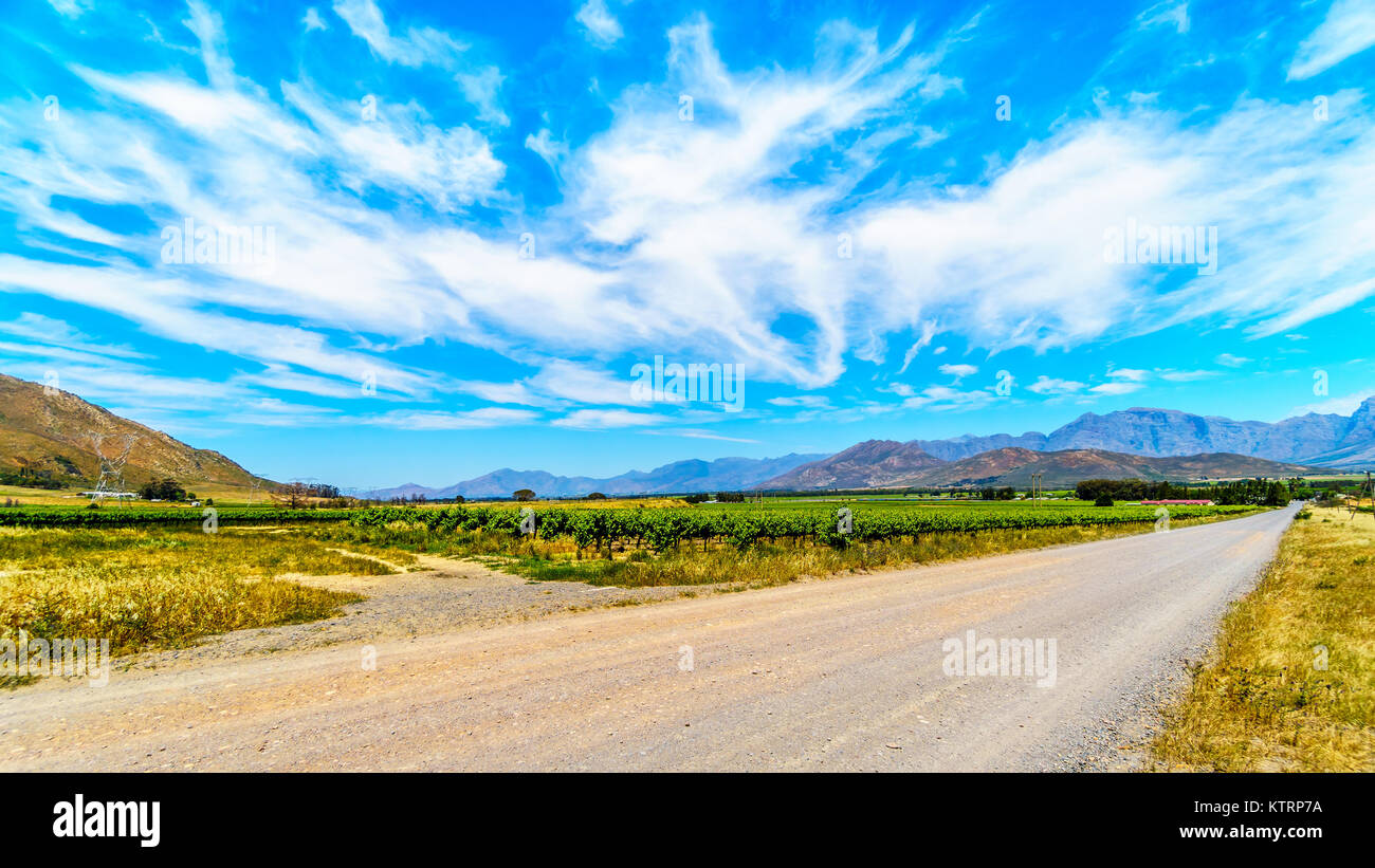 Boland agriculture western cape province hi-res stock photography and ...