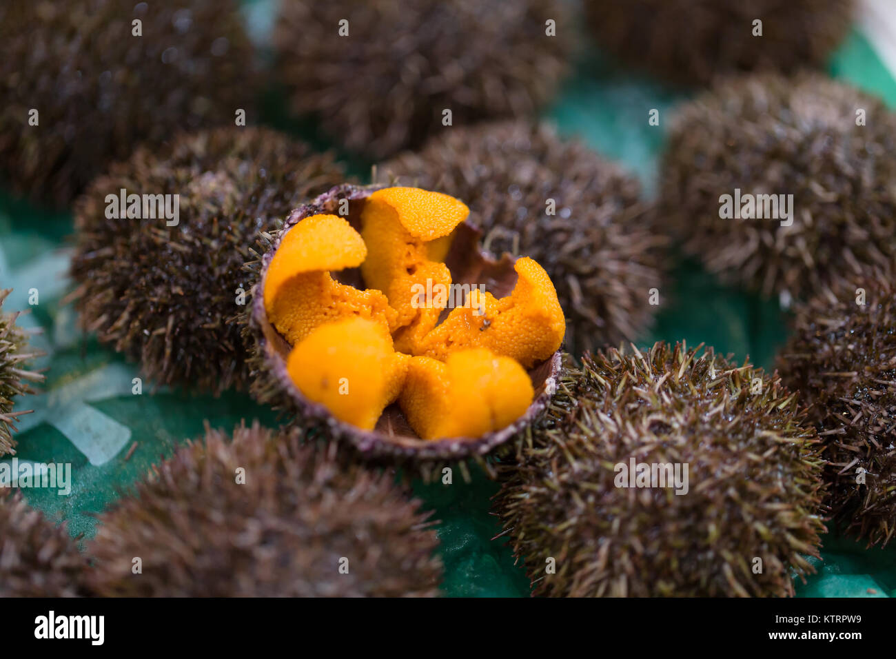 Uni Urchin Sashimi fresh seafood from Japan Stock Photo - Alamy