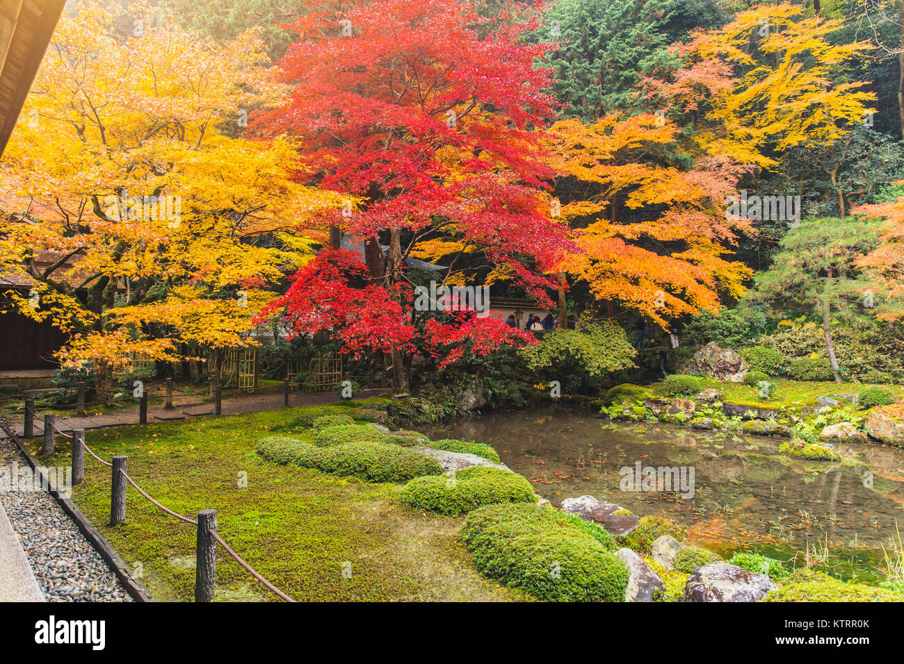 Beautiful season season color hi-res stock photography and images - Alamy