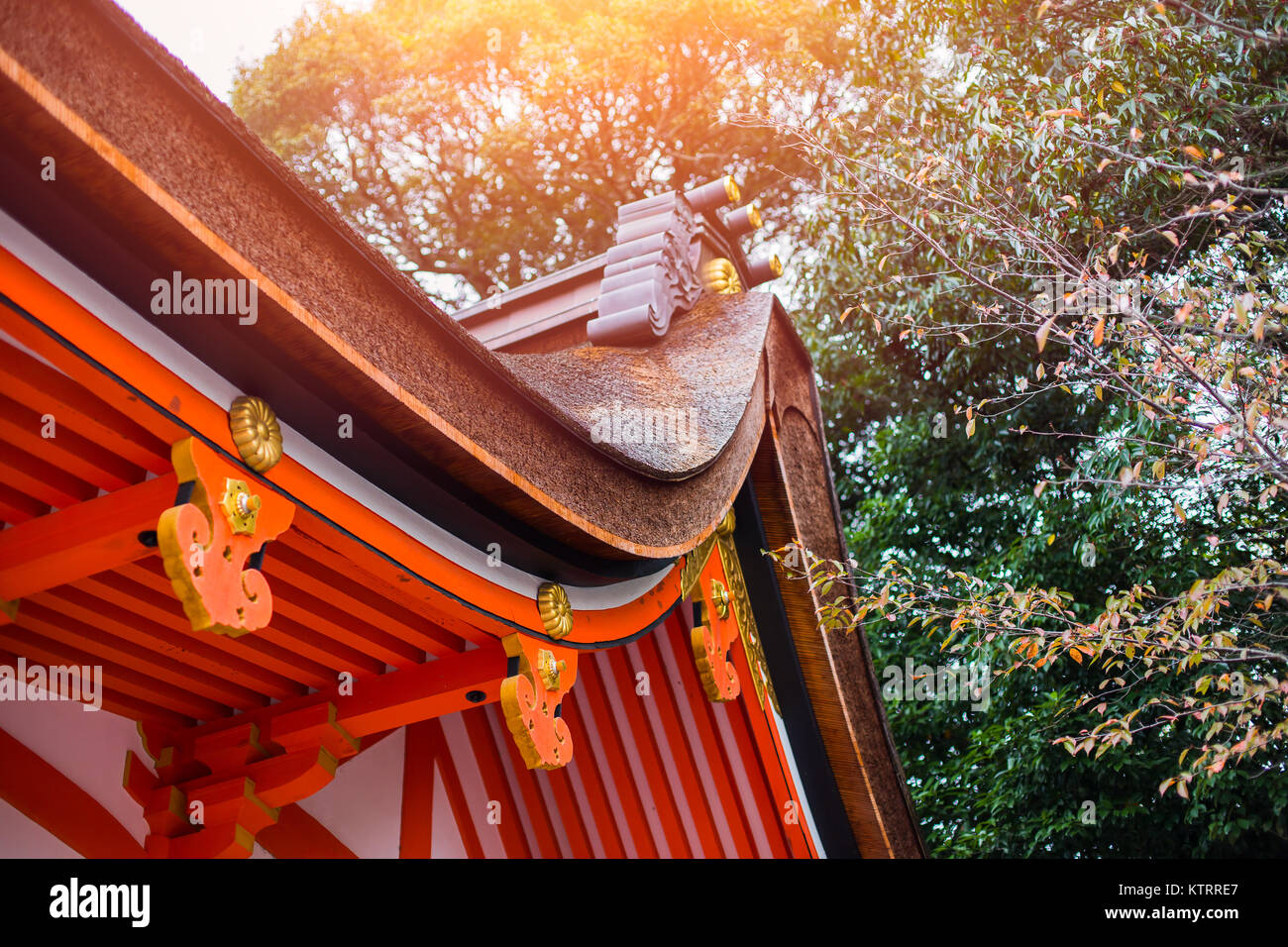 Japan style shrine red roof temple closeup roof with autumn season ...