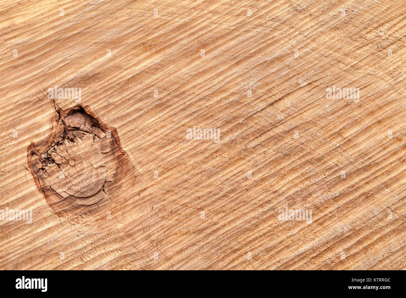 Texture of a cut tree trunk close-up. Structure of a wooden surface ...
