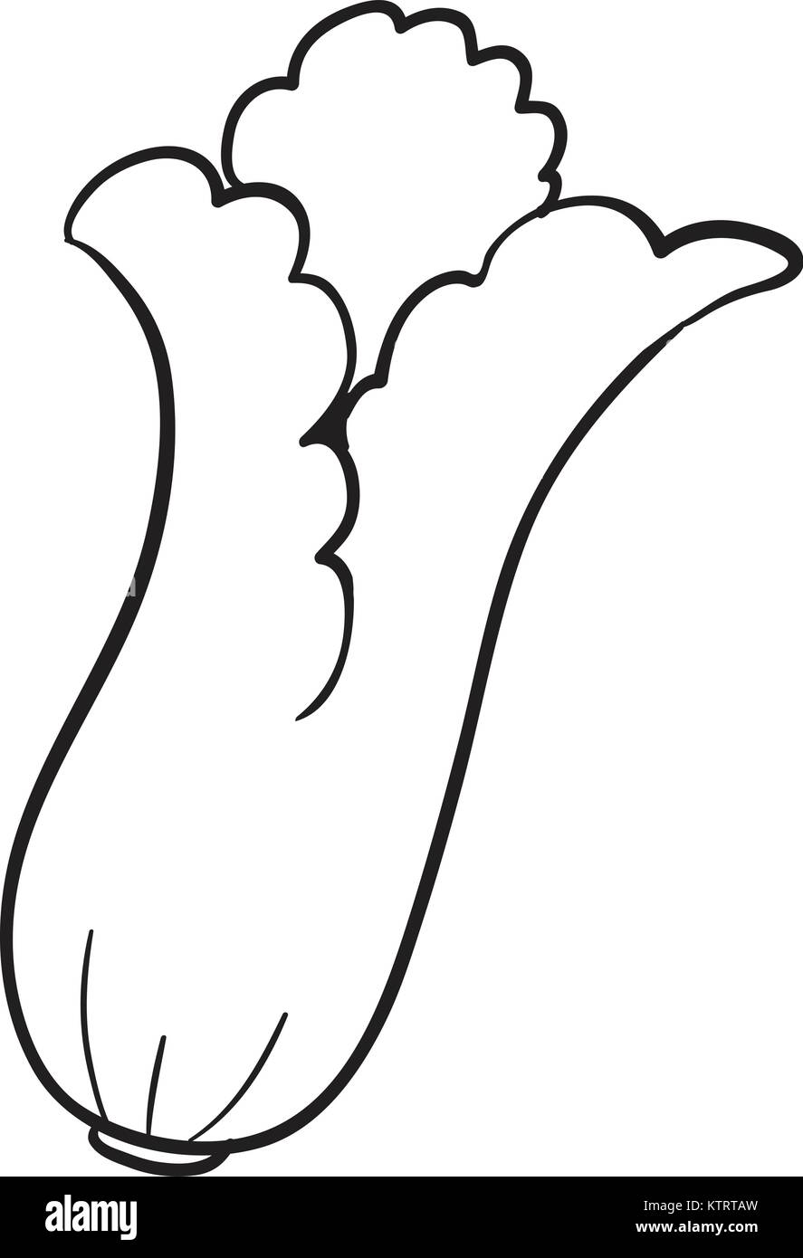 Illustraiton of a simple vegetable illustration on white Stock Vector ...