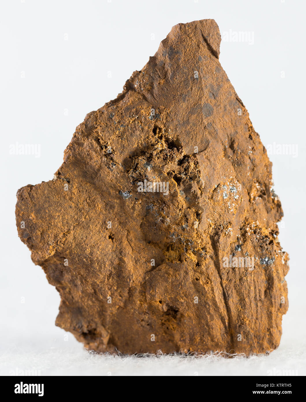 Eduardo Estellez High Resolution Stock Photography and Images - Alamy