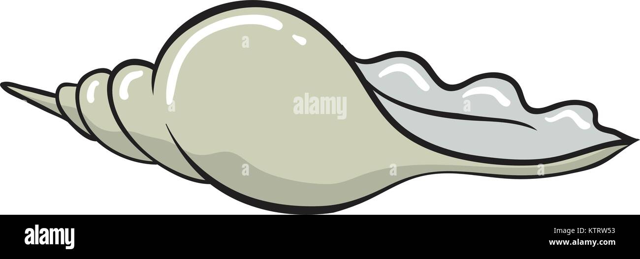 illustration of a cockleshell on a white background Stock Vector Image ...