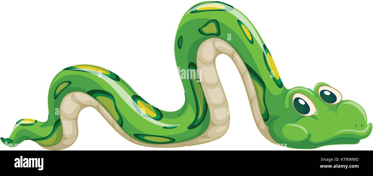 illustration of green snake on a white background Stock Vector Image ...