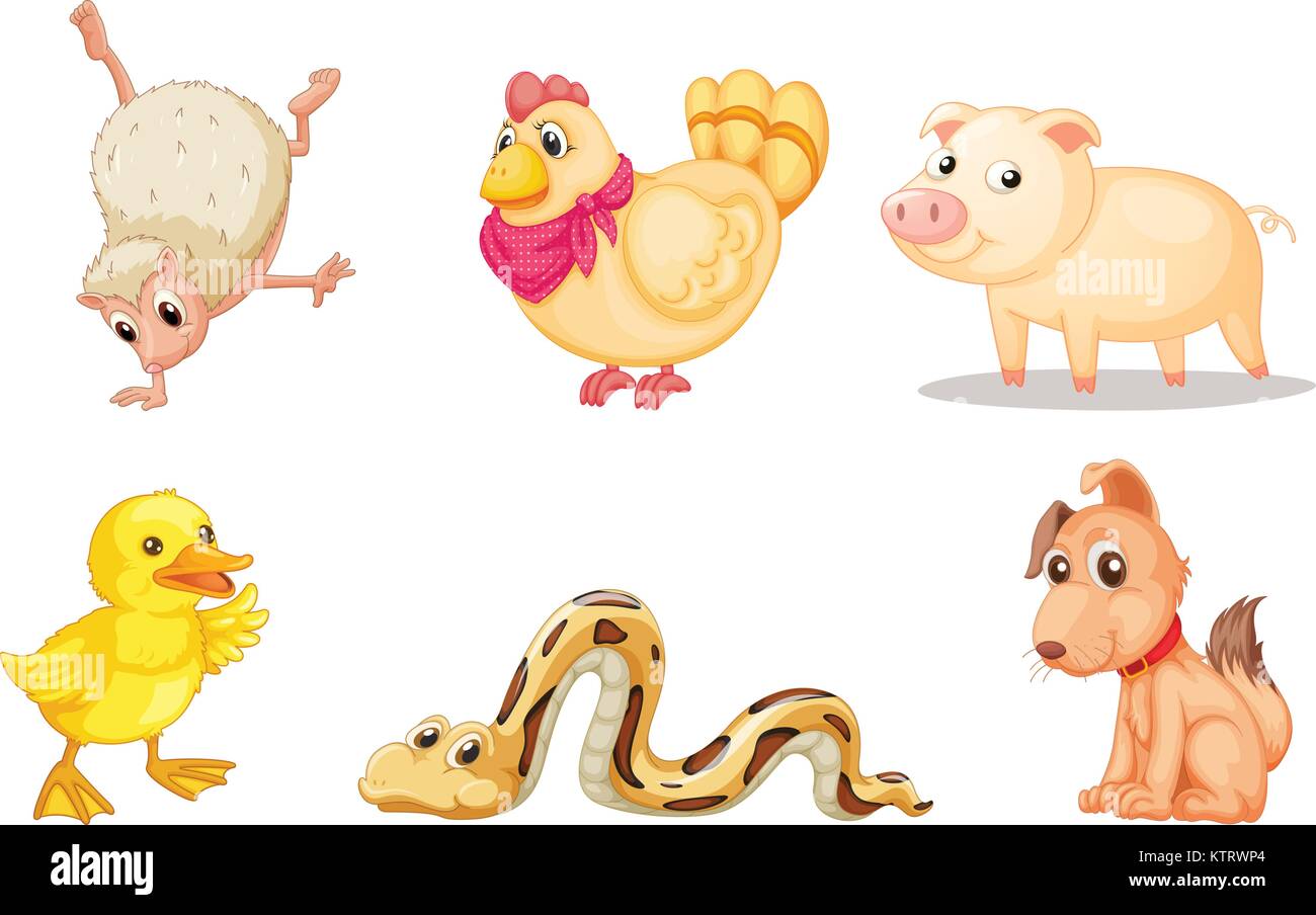 Illustrated group of comical animals Stock Vector Image & Art - Alamy