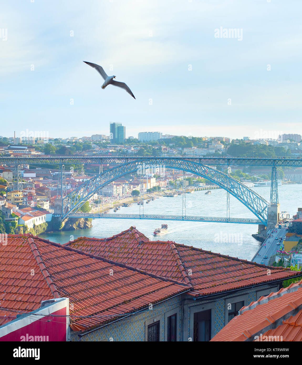 View of Porto with famous Dom Luis II bridge and flying seagull ...