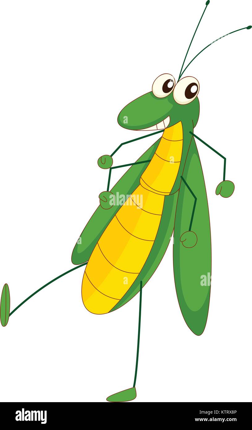 Illustration of a simple grasshopper Stock Vector Image & Art - Alamy