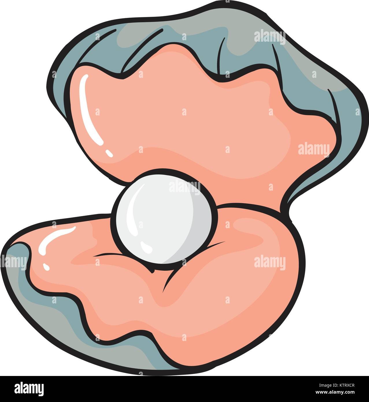 detailed illustration of a shell and pearl on white Stock Vector Image ...