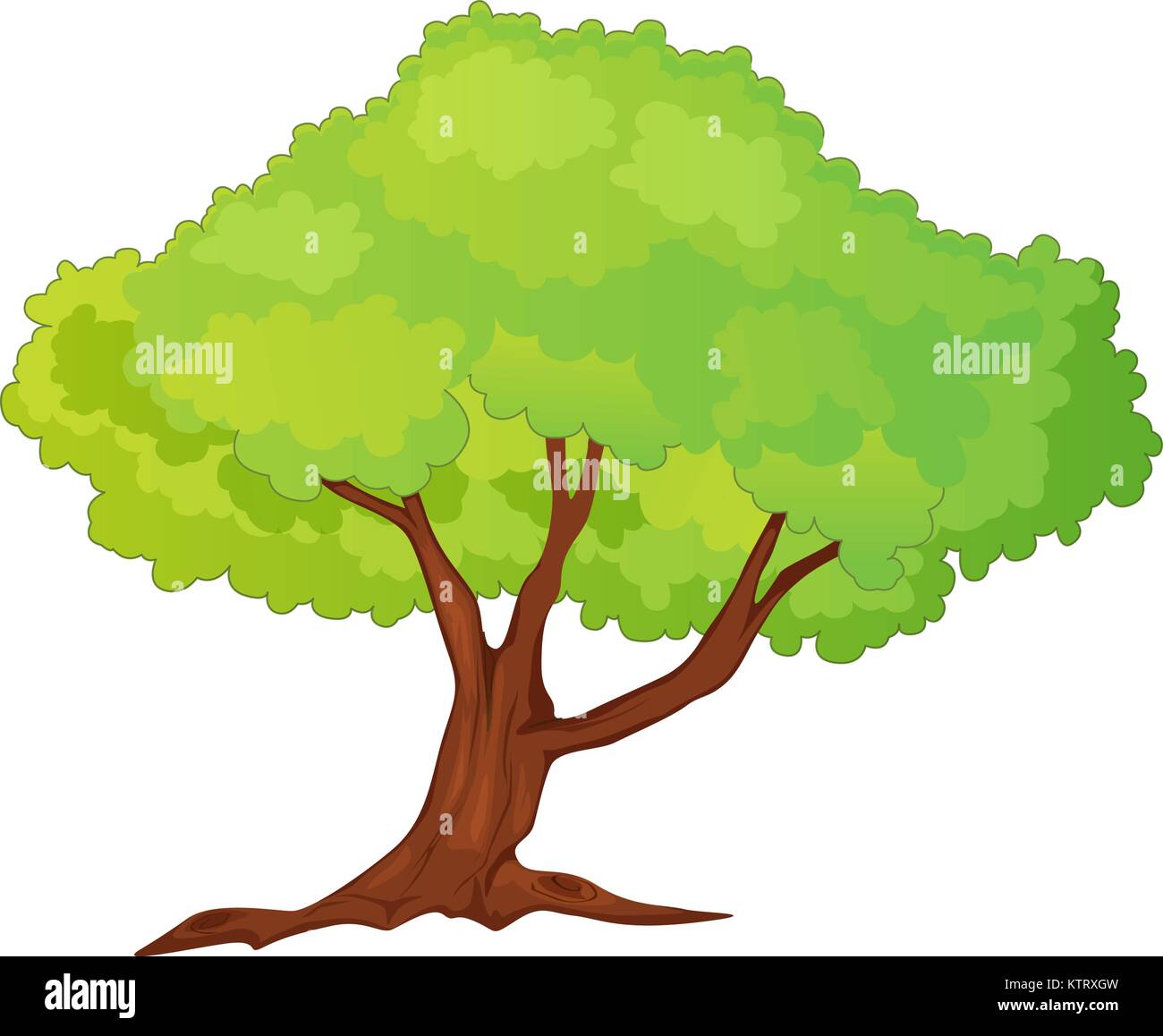 Illustration of single isolated tree - cartoon style Stock Vector Image ...