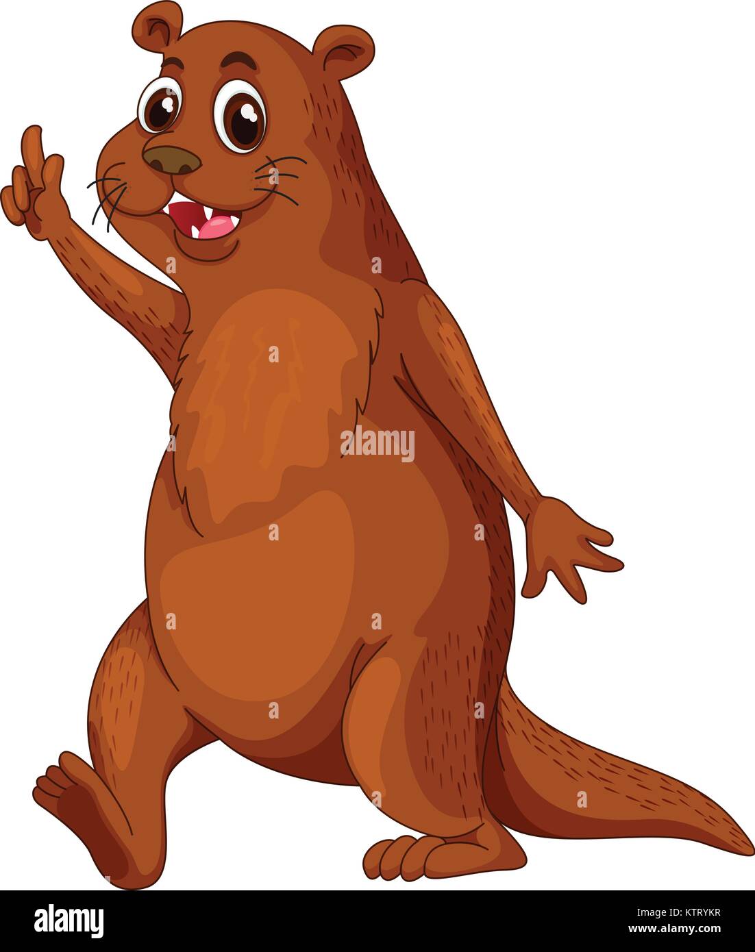 Illustration of a comical otter Stock Vector Image & Art - Alamy