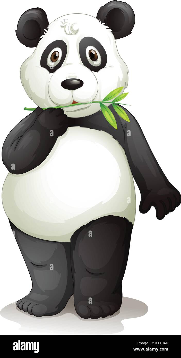 illustration of a panda on a white background Stock Vector Image & Art ...