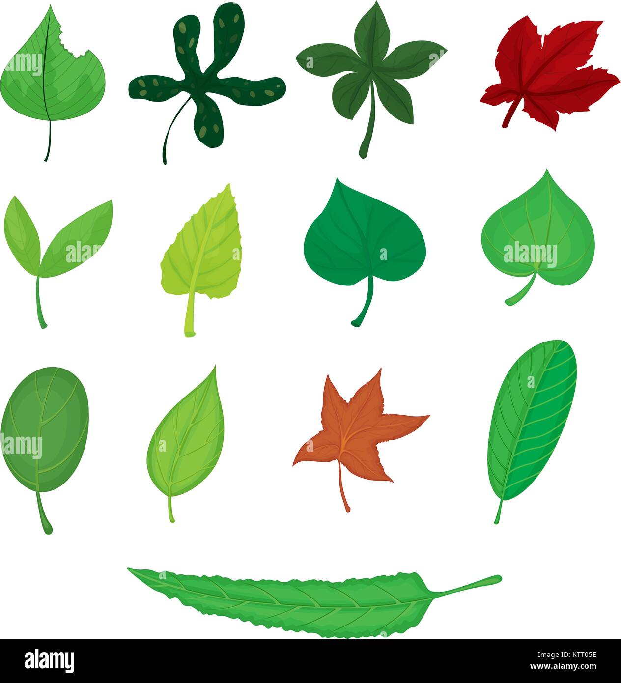 Illustrated set of leave objects Stock Vector Image & Art - Alamy