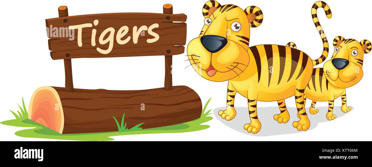 illustration of tiger and name plate on a white Stock Vector Image ...