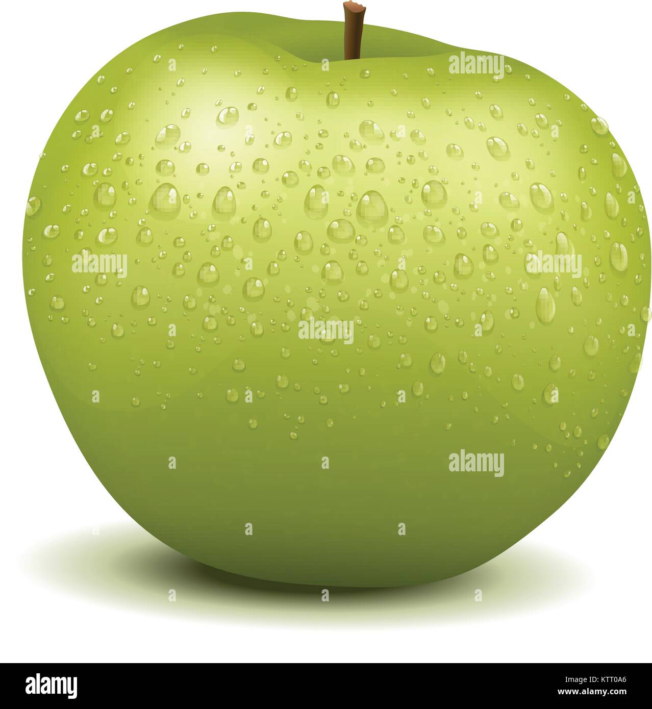 Illustration of a realistic apple Stock Vector Image & Art - Alamy