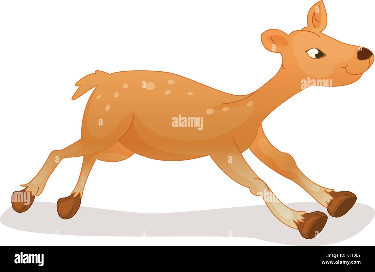 Baby deer doe spotted Cut Out Stock Images & Pictures - Alamy