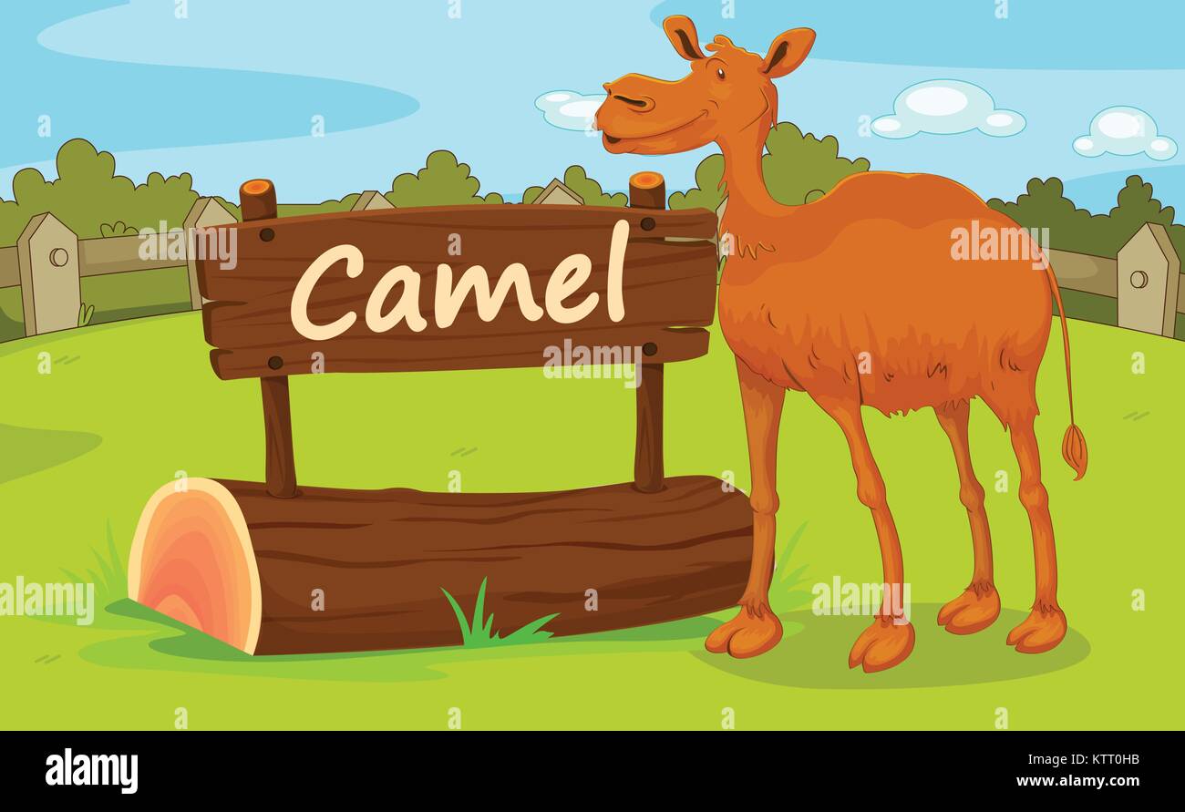 Desert animal enclosure zoo Stock Vector Images - Alamy