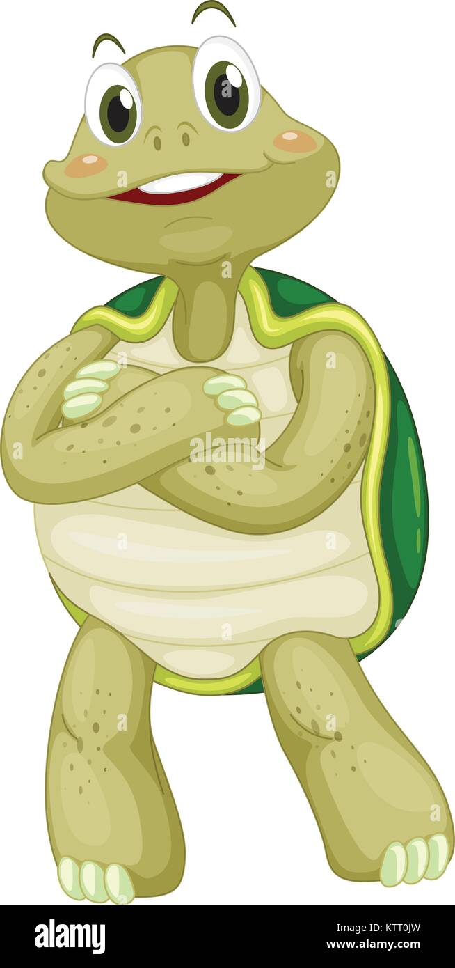 Animated turtle on a white background Stock Vector Image & Art - Alamy