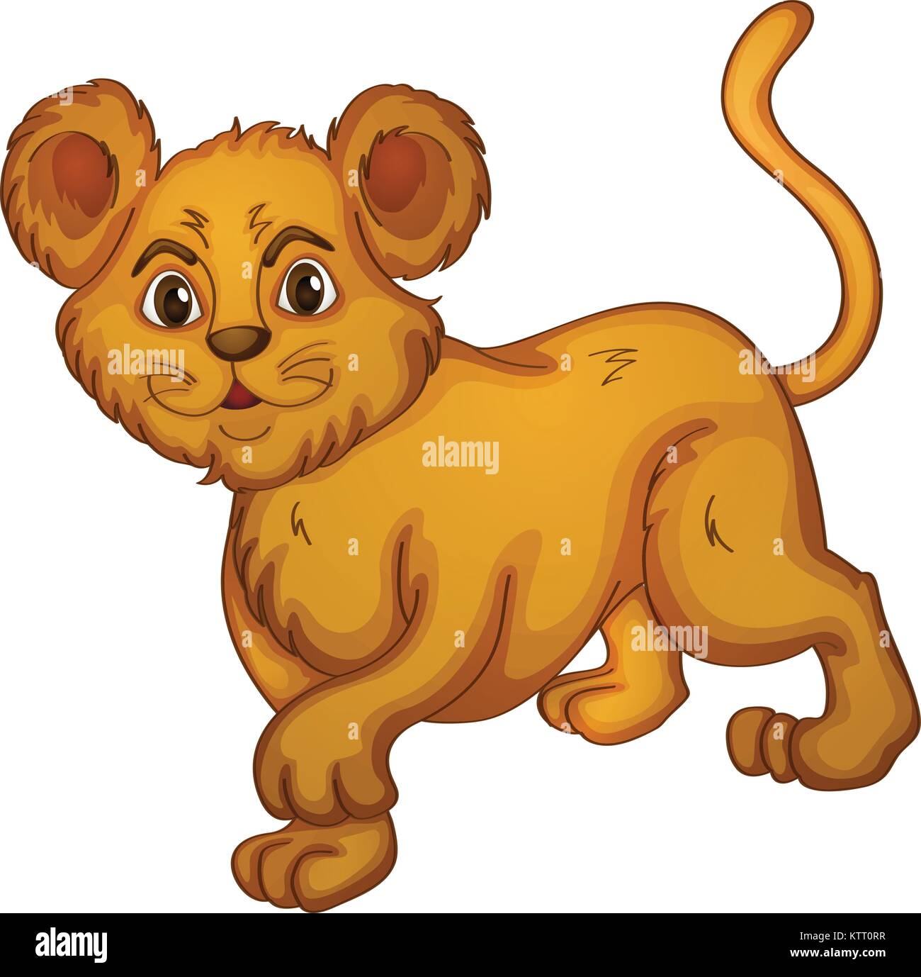 illustration of a cub on a white background Stock Vector Image & Art ...