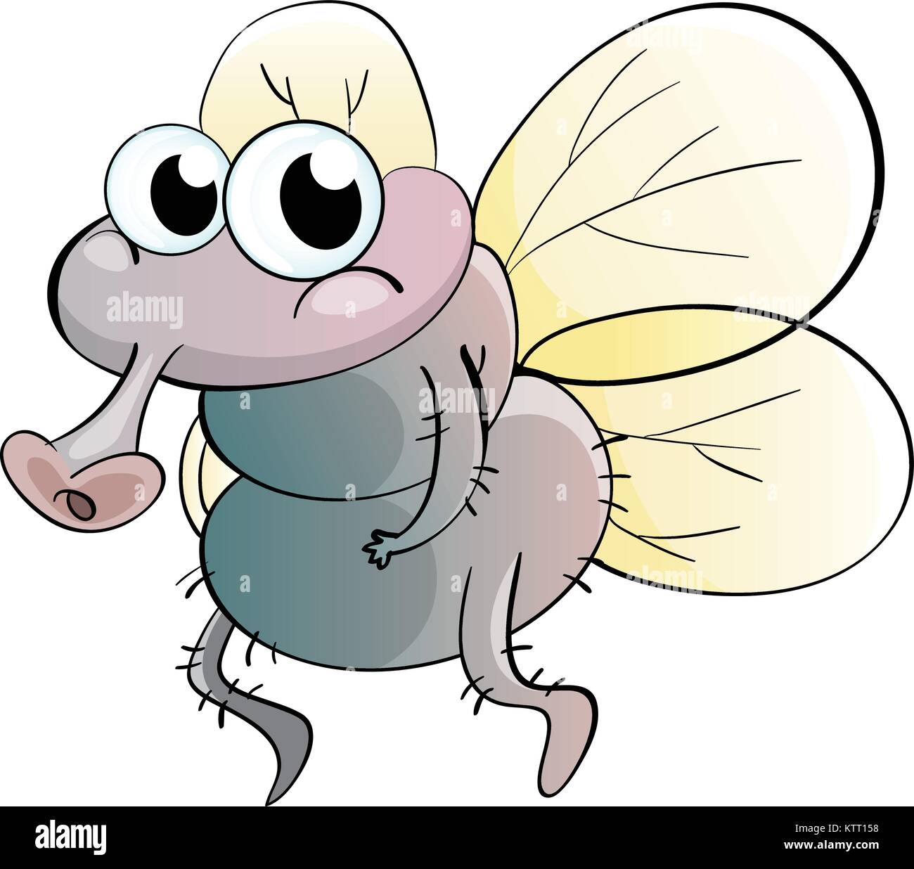 Illustration of a cartoon fly Stock Vector Image & Art - Alamy