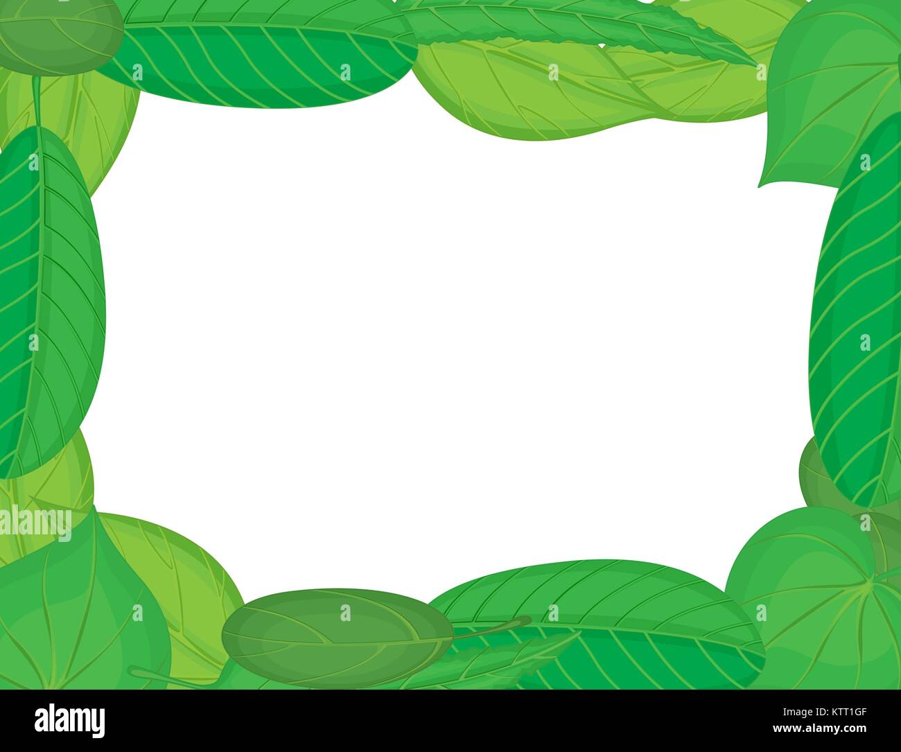 Illustration of a leaf frame Stock Vector Image & Art - Alamy