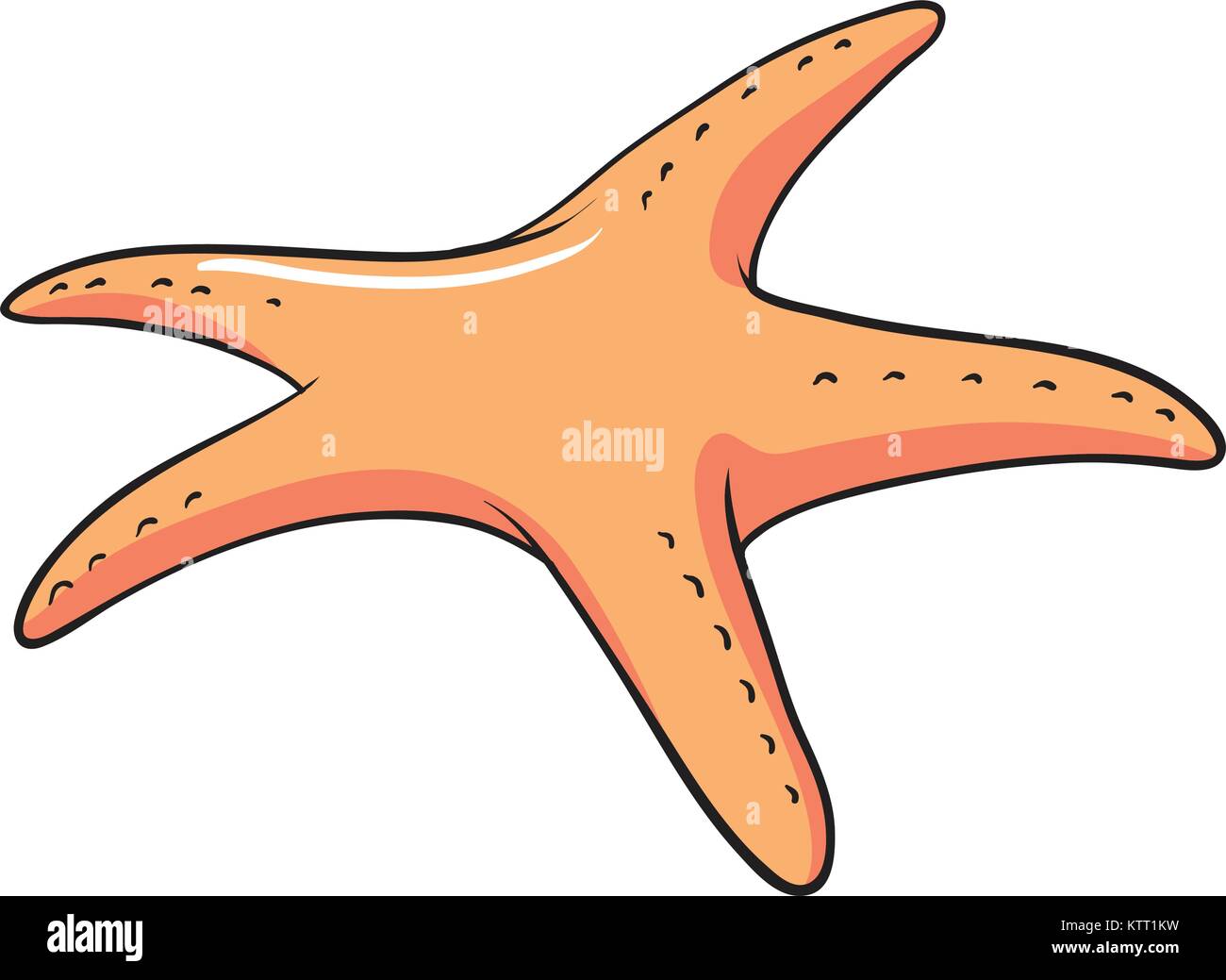 illustration of a star fish on a white background Stock Vector Image ...