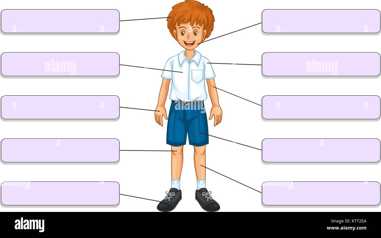 Illustration of body parts labels front Stock Vector Image & Art - Alamy