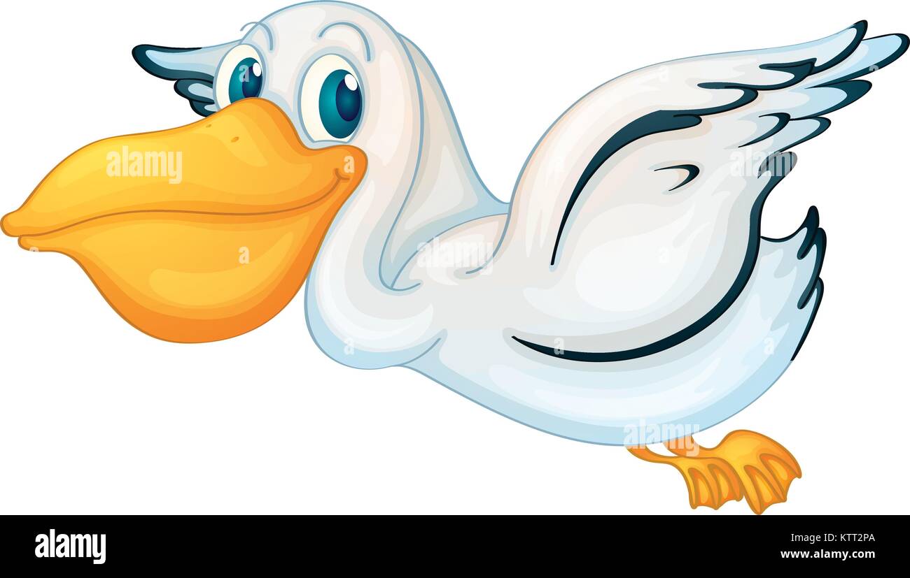 Animated pelican on white background Stock Vector Image & Art - Alamy
