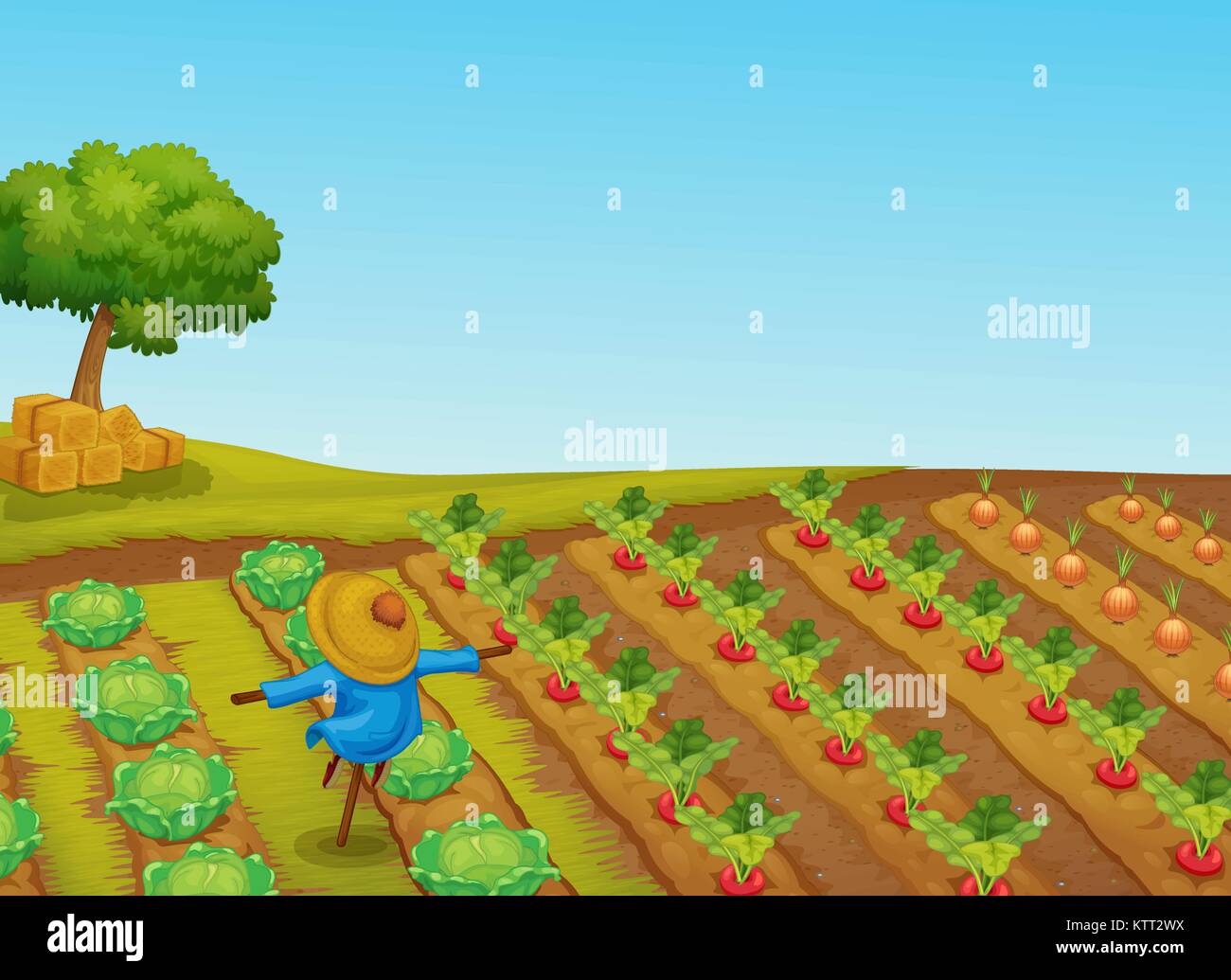 Illustration of a scarecrow in a vegetable patch Stock Vector Image ...