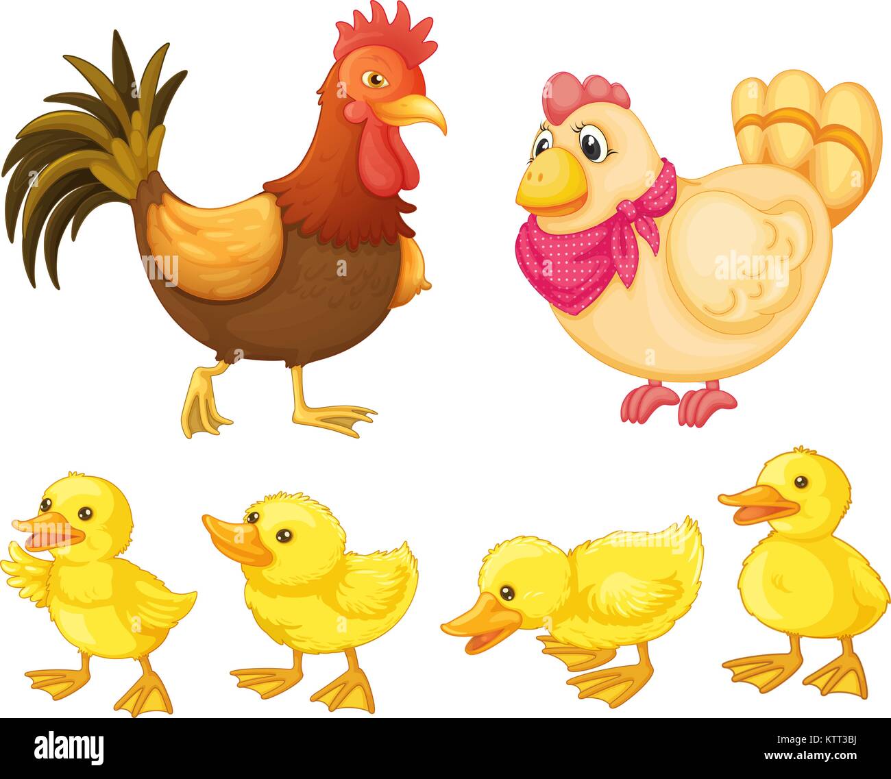 Rooster, hen and chicks on white Stock Vector Image & Art - Alamy