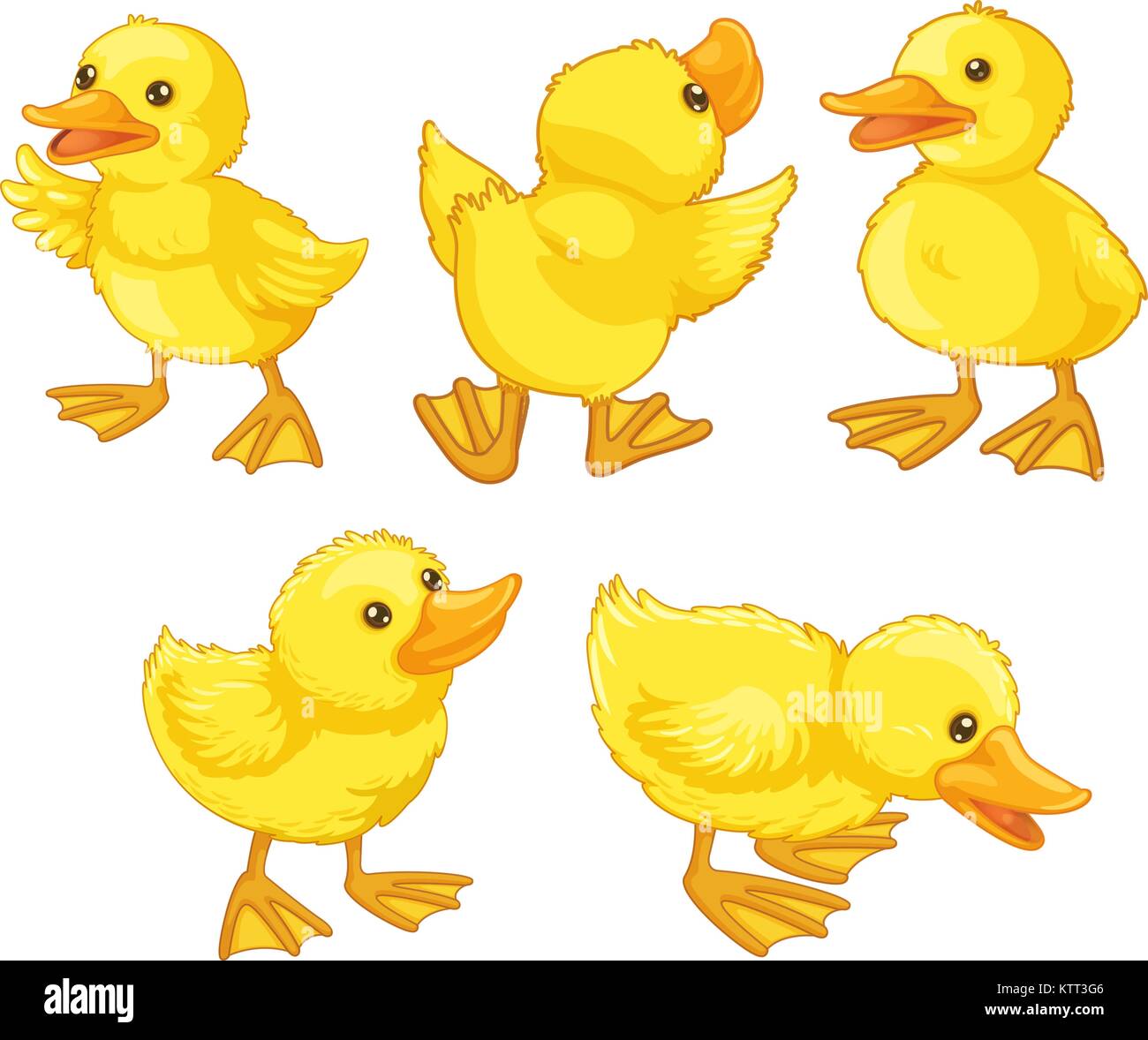 Illustraiton of duckling chicks on white Stock Vector Image & Art - Alamy