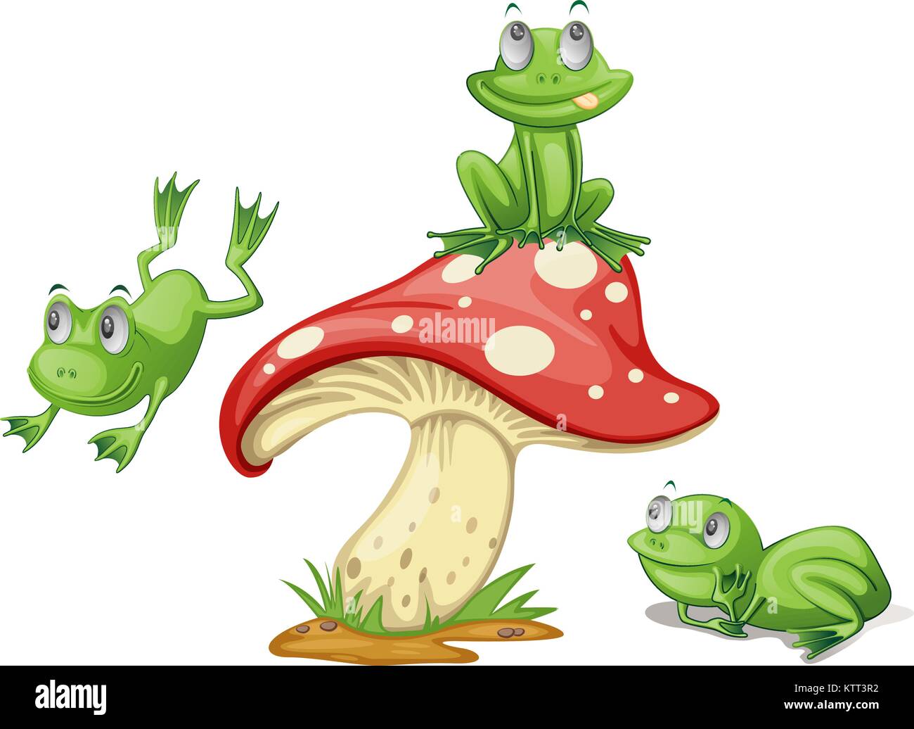 Toadstool Frog Stock Photos & Toadstool Frog Stock Images - Alamy