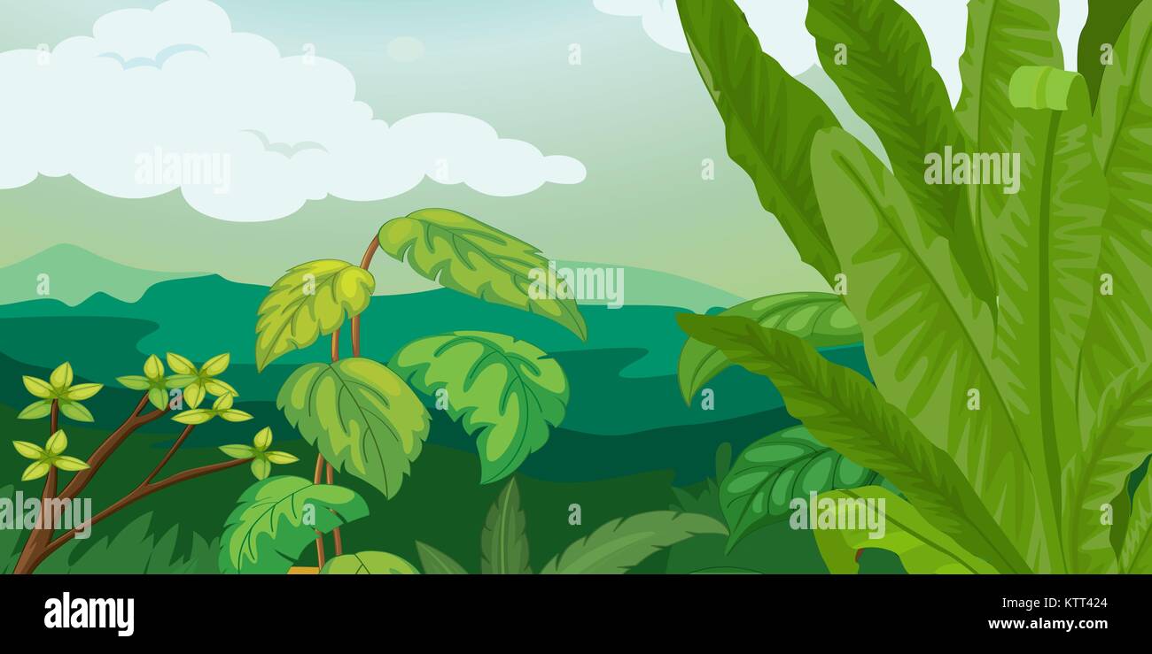 Green fern plants Stock Vector Images - Alamy