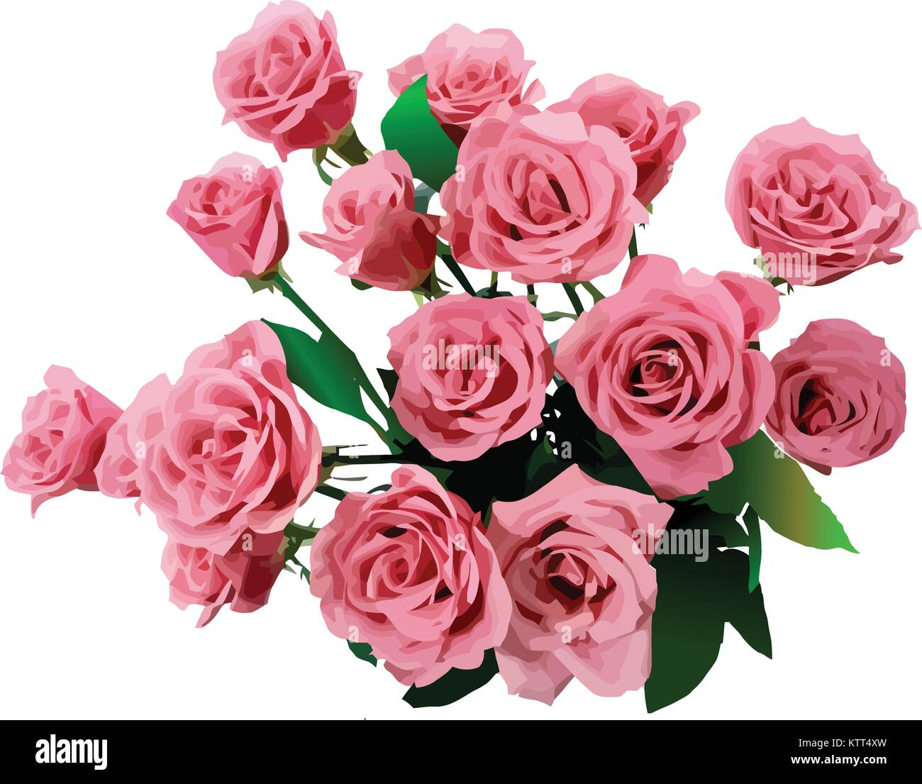 Bunch of roses. Vector illustration Stock Vector Image & Art - Alamy