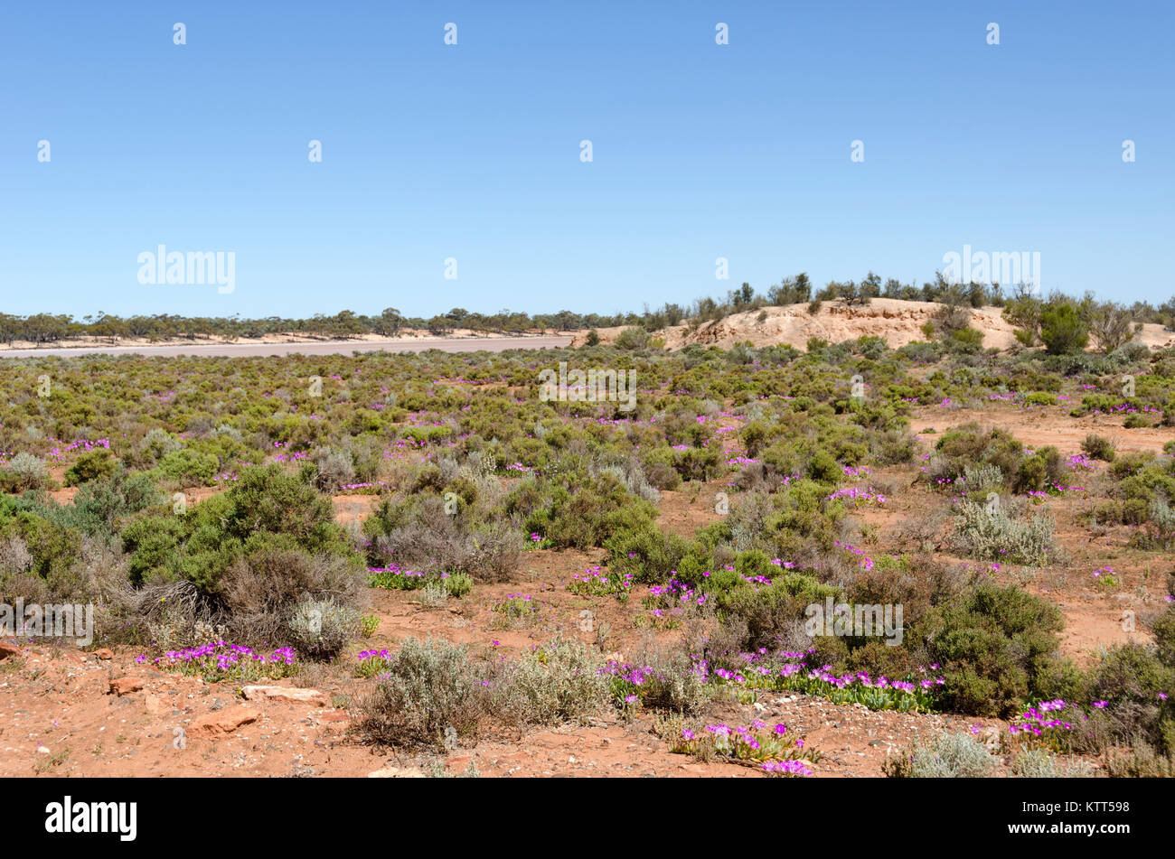 Western desert australia hi-res stock photography and images - Alamy