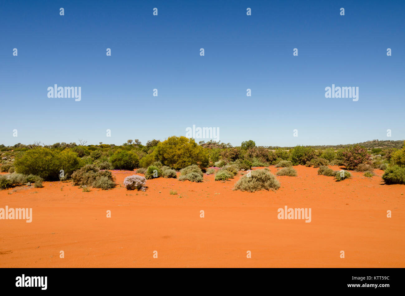 Desert landscape near Kalgoorlie, Western Australia, Australia Stock ...