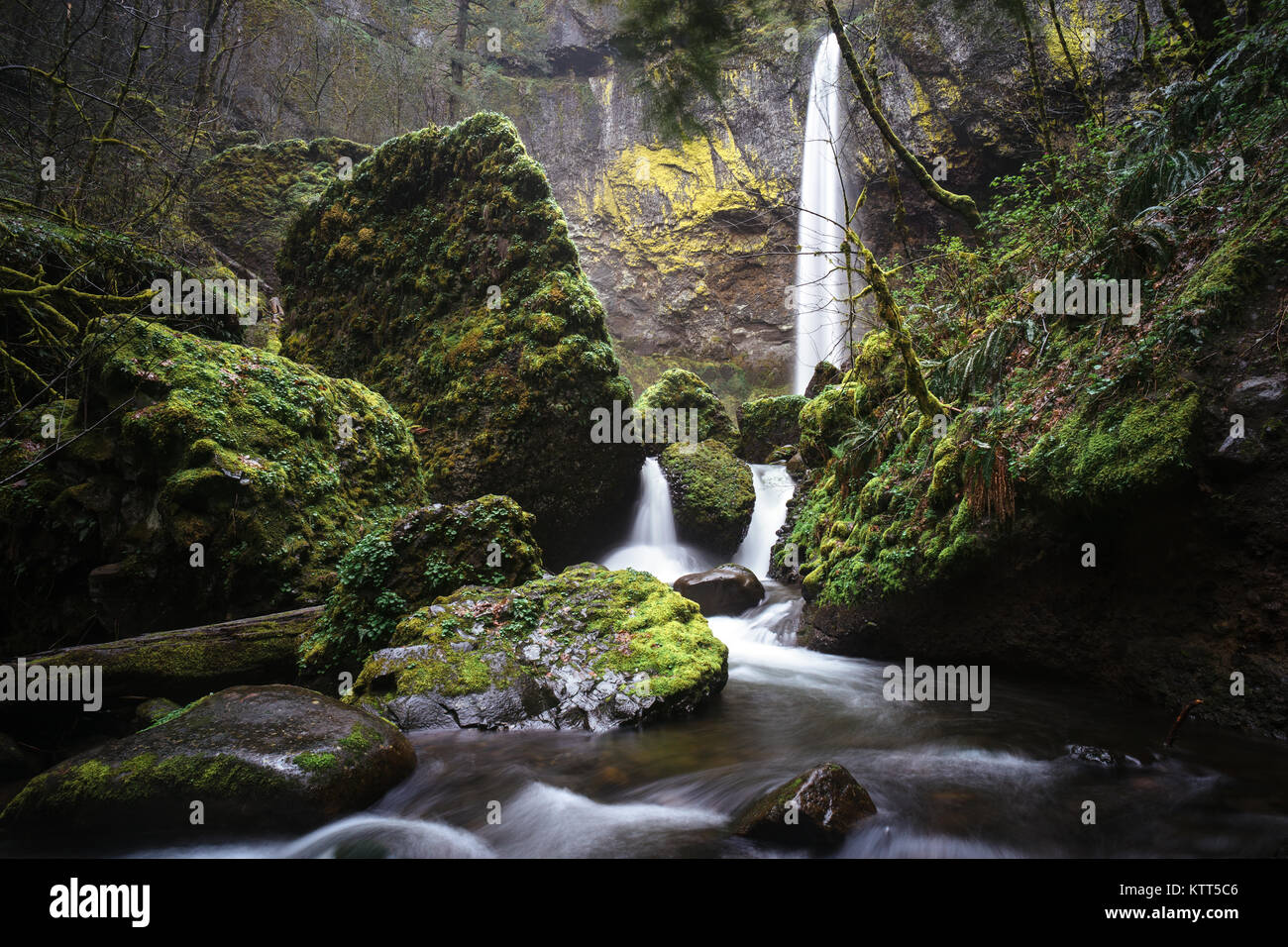 Elowah Falls, Columbia river gorge, Oregon, United States Stock Photo ...