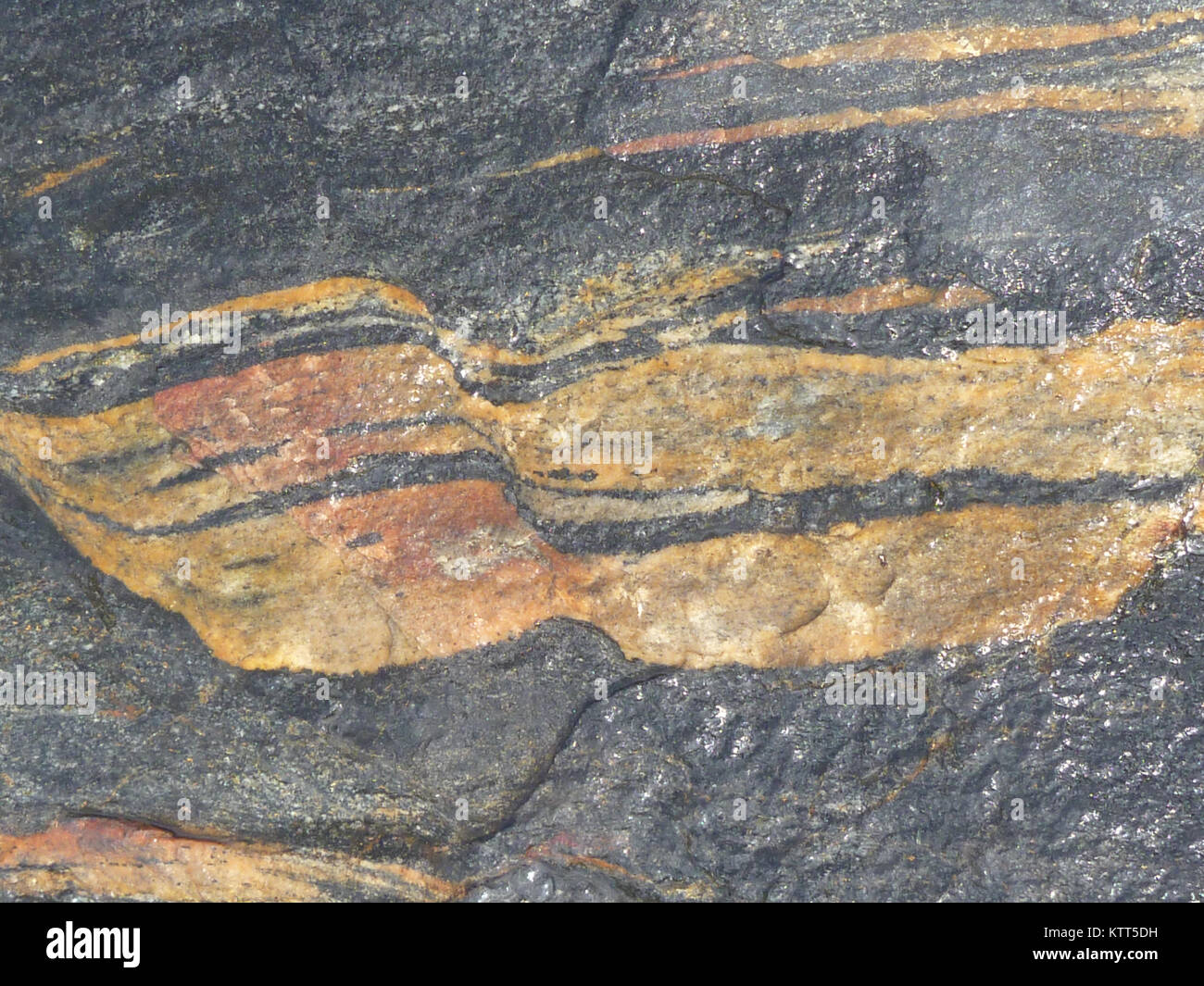 Natural british columbia hi-res stock photography and images - Alamy