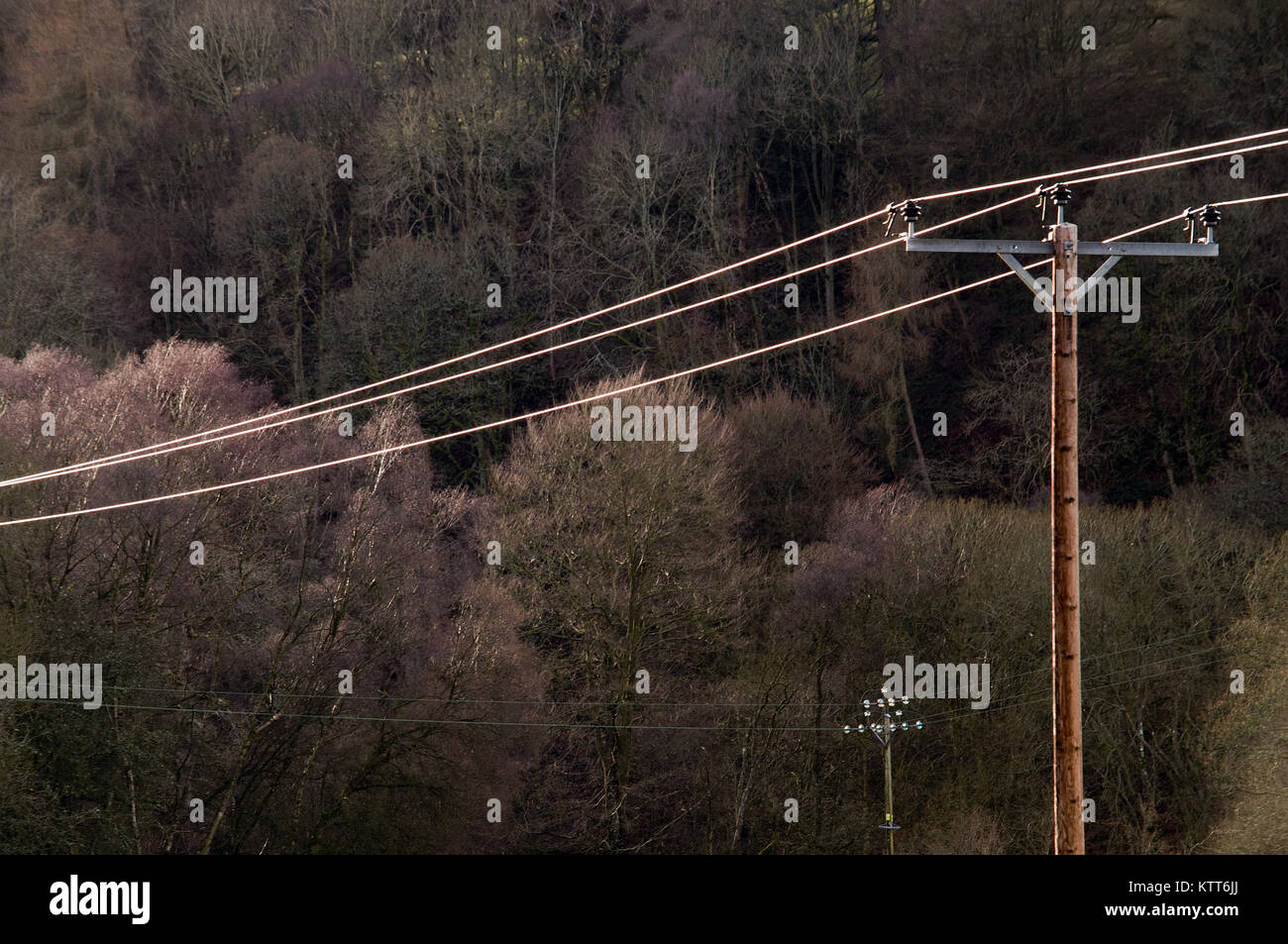 Wooden telegraph poles hi-res stock photography and images - Alamy