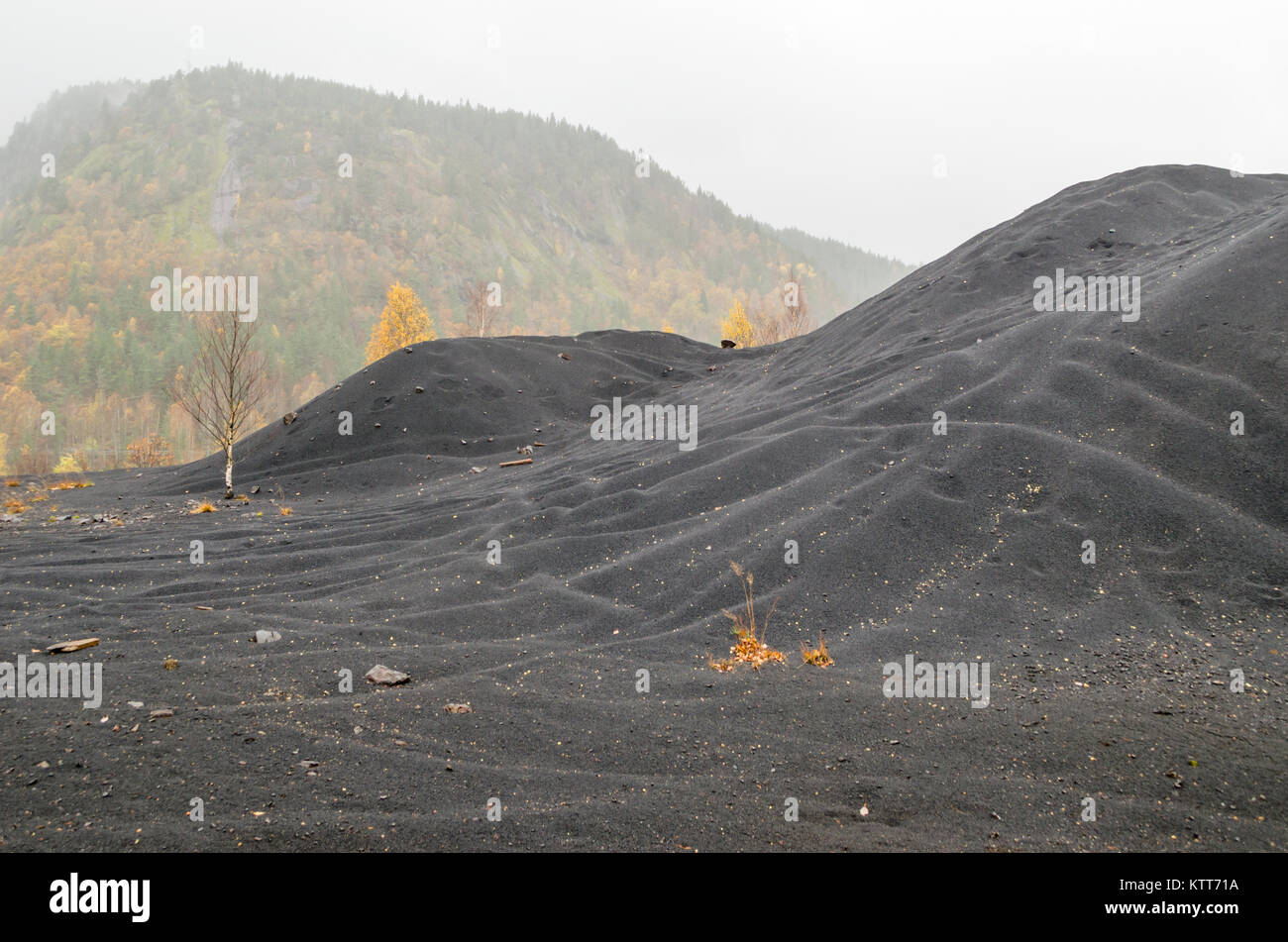 Bank og mist hi-res stock photography and images - Alamy