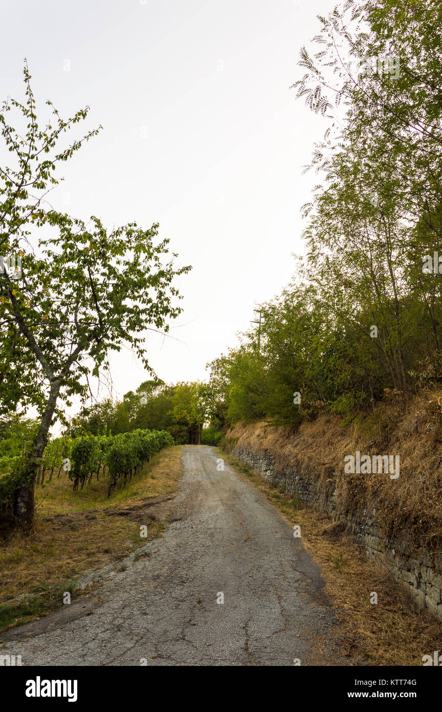 Clay way around the green trees. Countryside pathway Stock Photo - Alamy