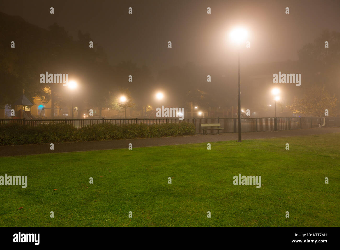 Empty park at foggy night Stock Photo - Alamy