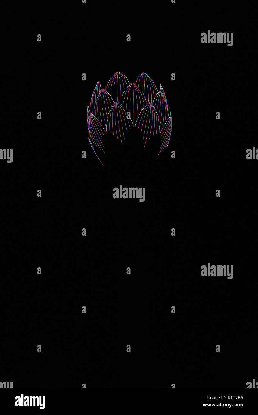 Tall lotus hi-res stock photography and images - Alamy