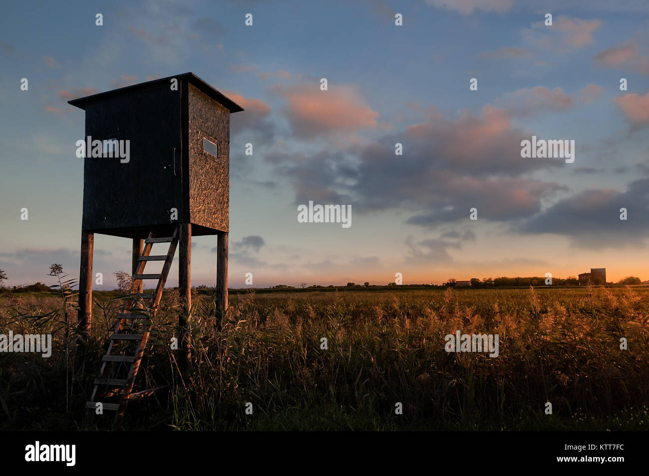 Wooden hunter tower high seat. Raised shed hunting Stock Photo - Alamy